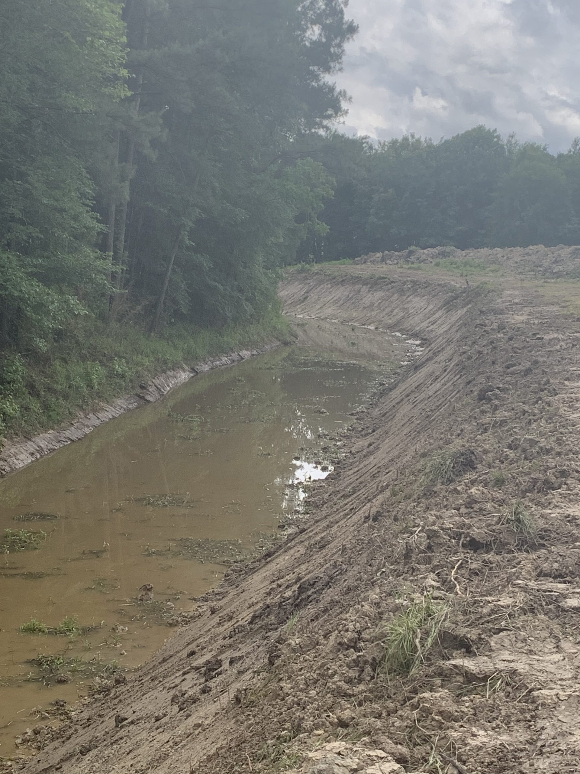 Cole Creek Project Phase 1 - Orange County Drainage District