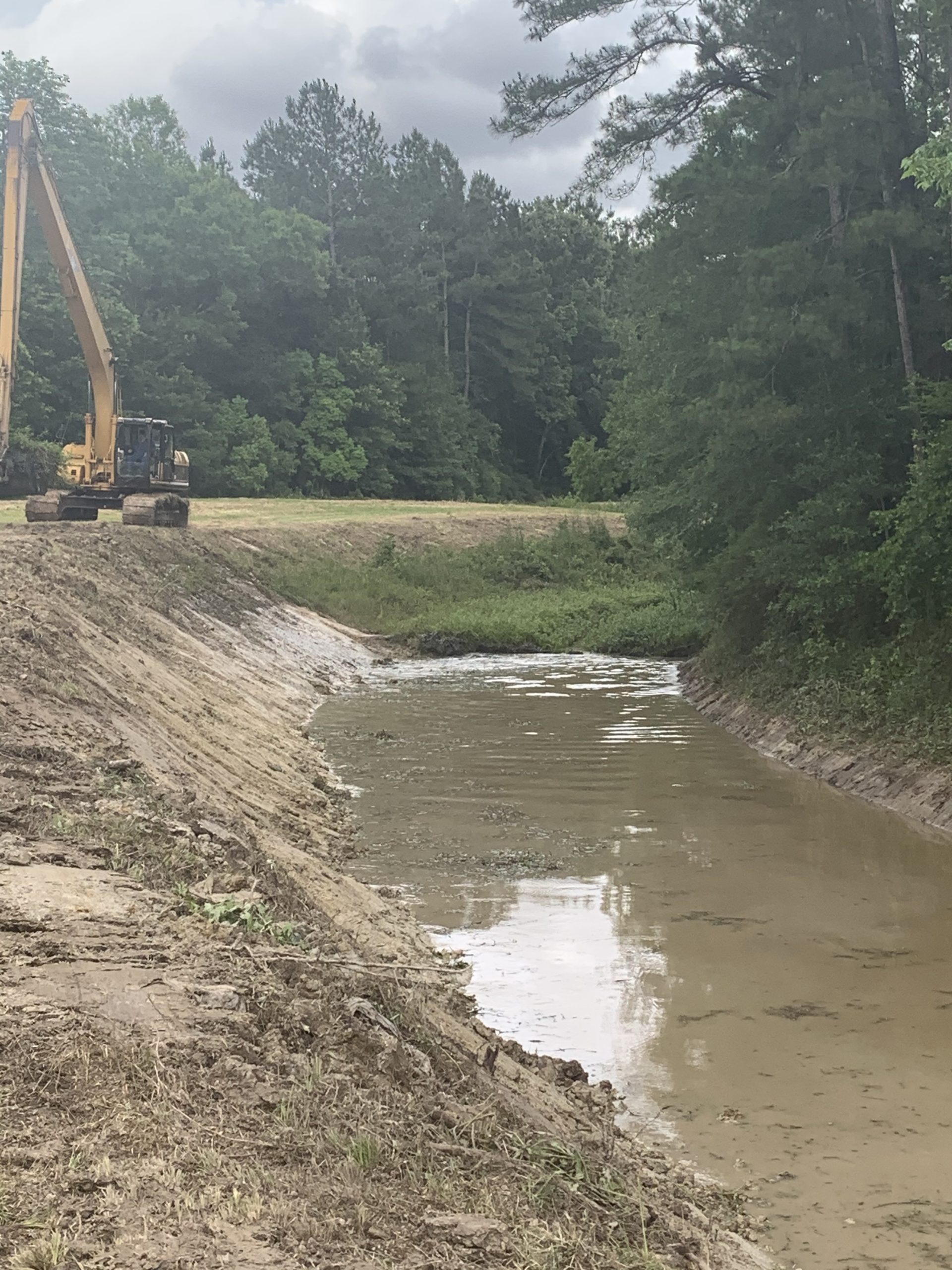 Cole Creek Project Phase 1 - Orange County Drainage District